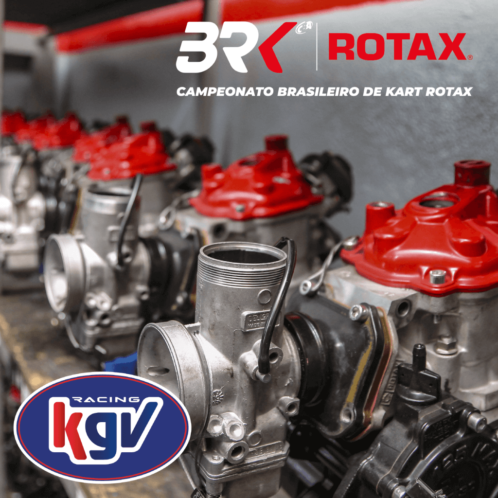 Motores Brasileiro_Rotax | Loja KGV